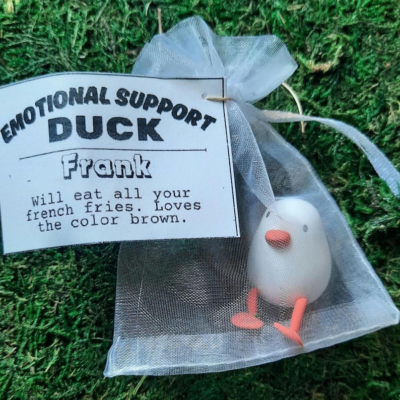 Emotional Support Duck - Etsy