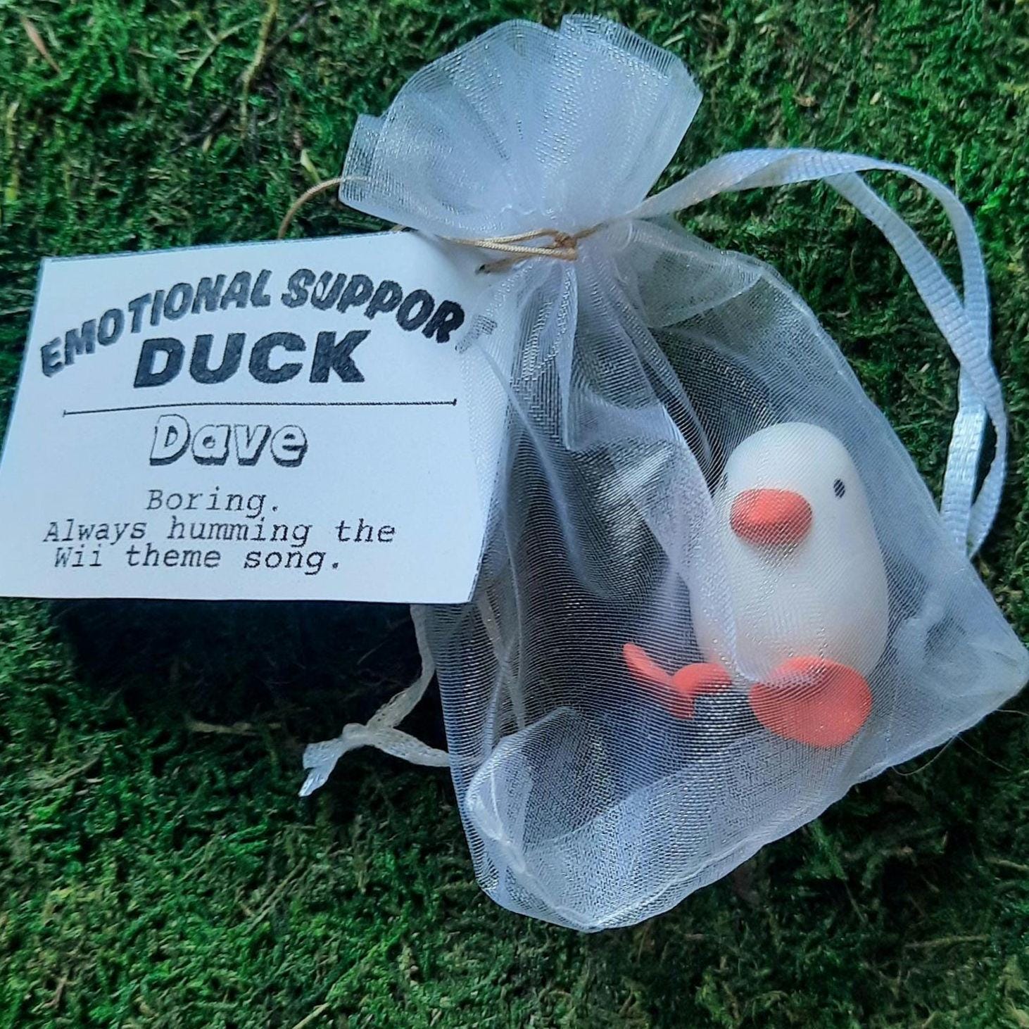 Emotional Support Duck - Etsy