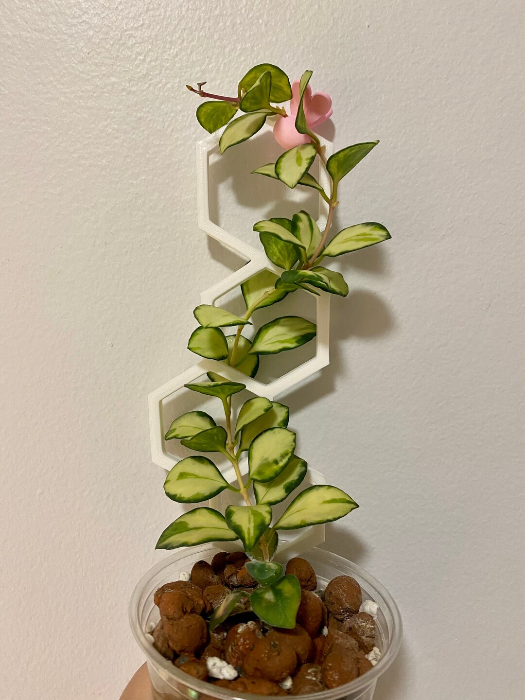 3D Print Trellis for Your Indoor Plant - Etsy