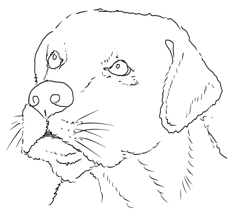 Printable, Custom Coloring Page a Portrait of Your Dog, Also Multiple ...