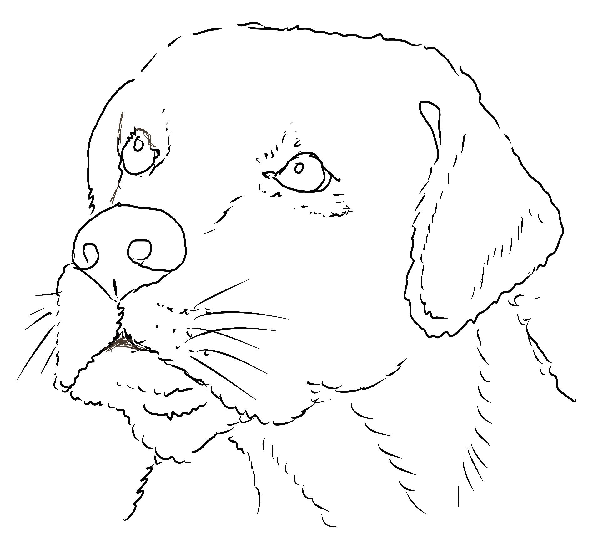 Printable, Custom Coloring Page a Portrait of Your Dog, Also Multiple ...