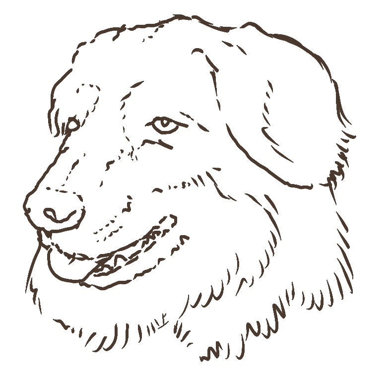 Printable, Custom Coloring Page a Portrait of Your Dog, Also Multiple ...