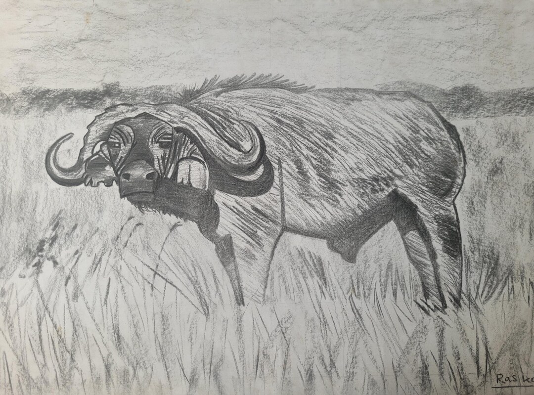 Abstract African Art, Black and White Buffalo Pencil Drawing - Etsy