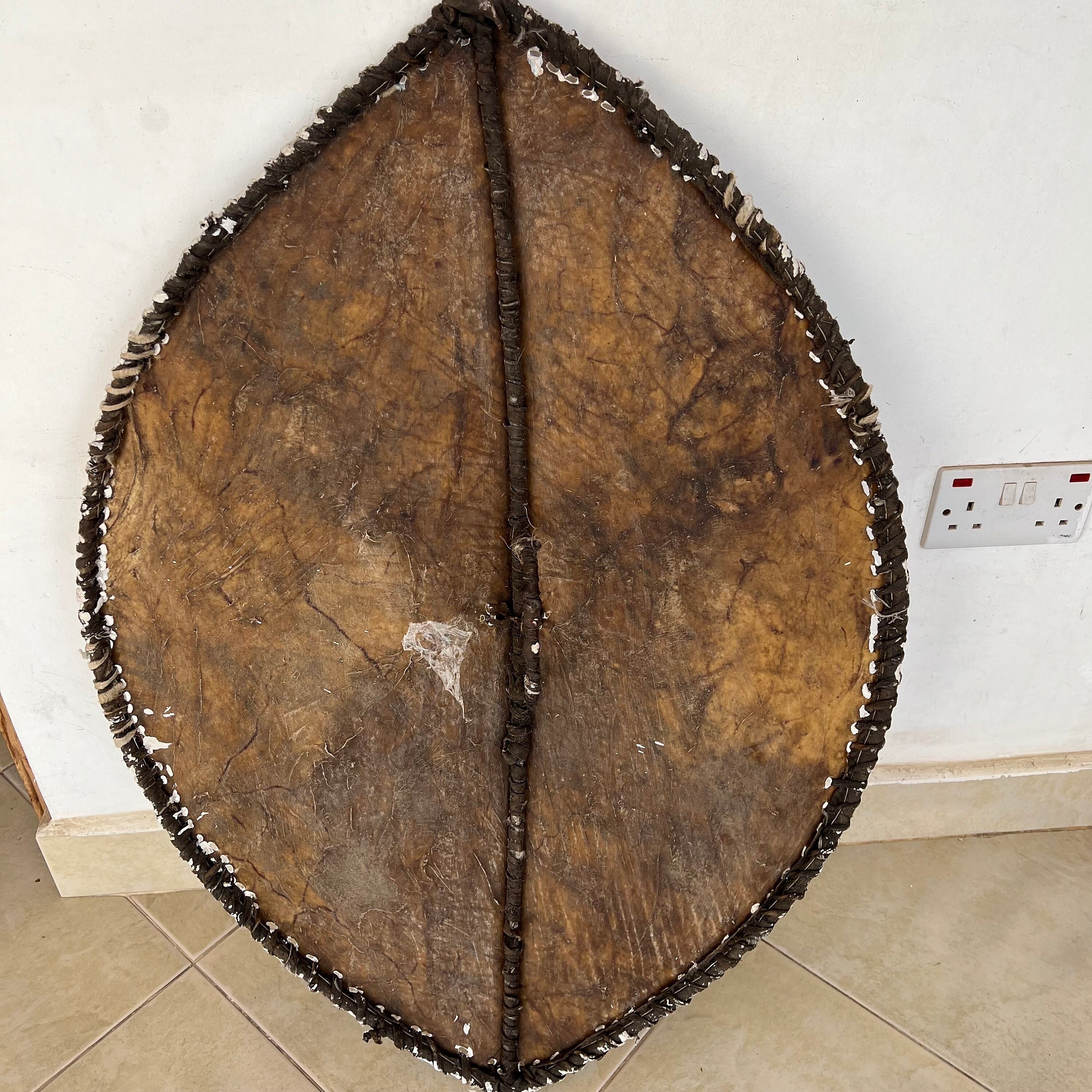 Maasai Shield With A Paint of A Lion and Two Maasai Lion - Etsy