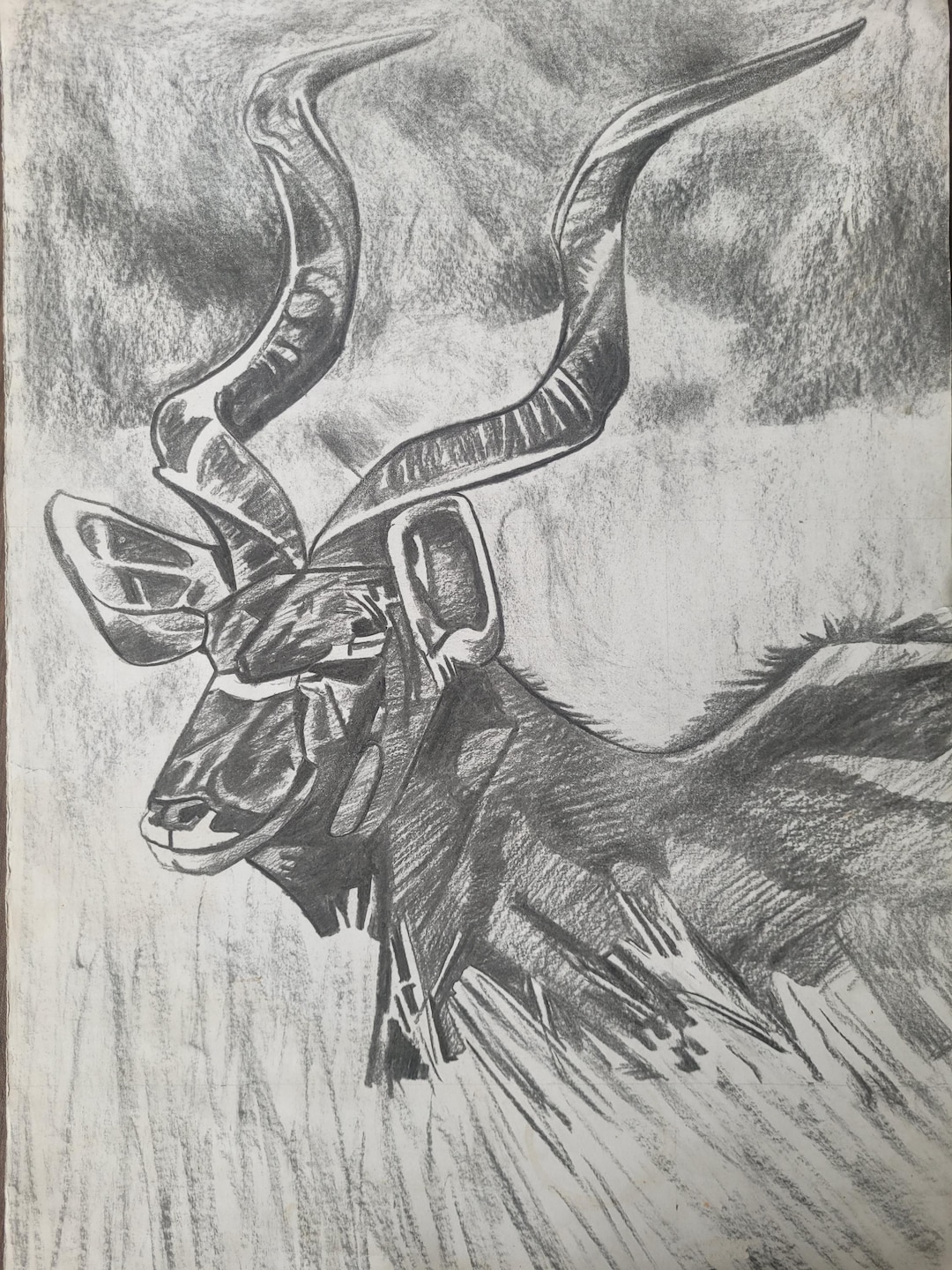 Impressive Black and White Serengeti Antelope Pencil Drawing, African ...