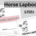 Horse Lap Book | About Horses | for Kids | Learning About Horses ...