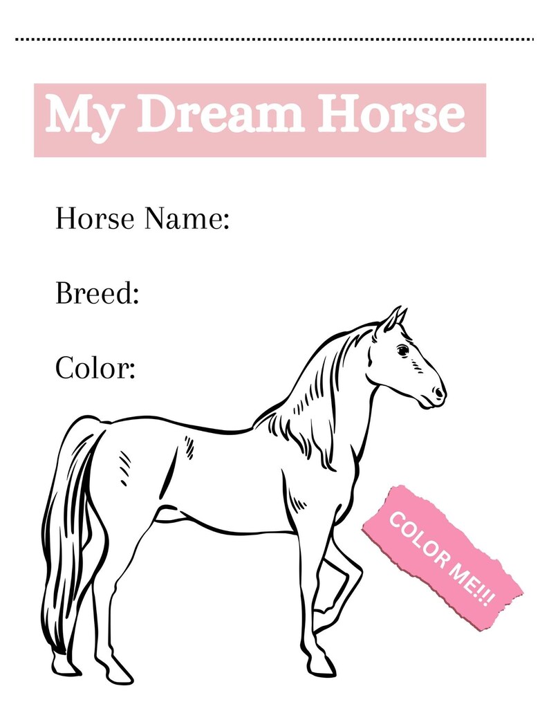 Horse Lap Book | About Horses | for Kids | Learning About Horses ...