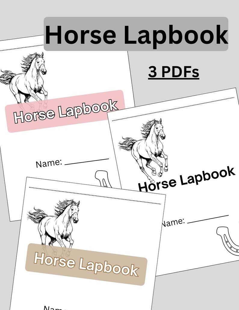 Horse Lap Book | About Horses | for Kids | Learning About Horses ...