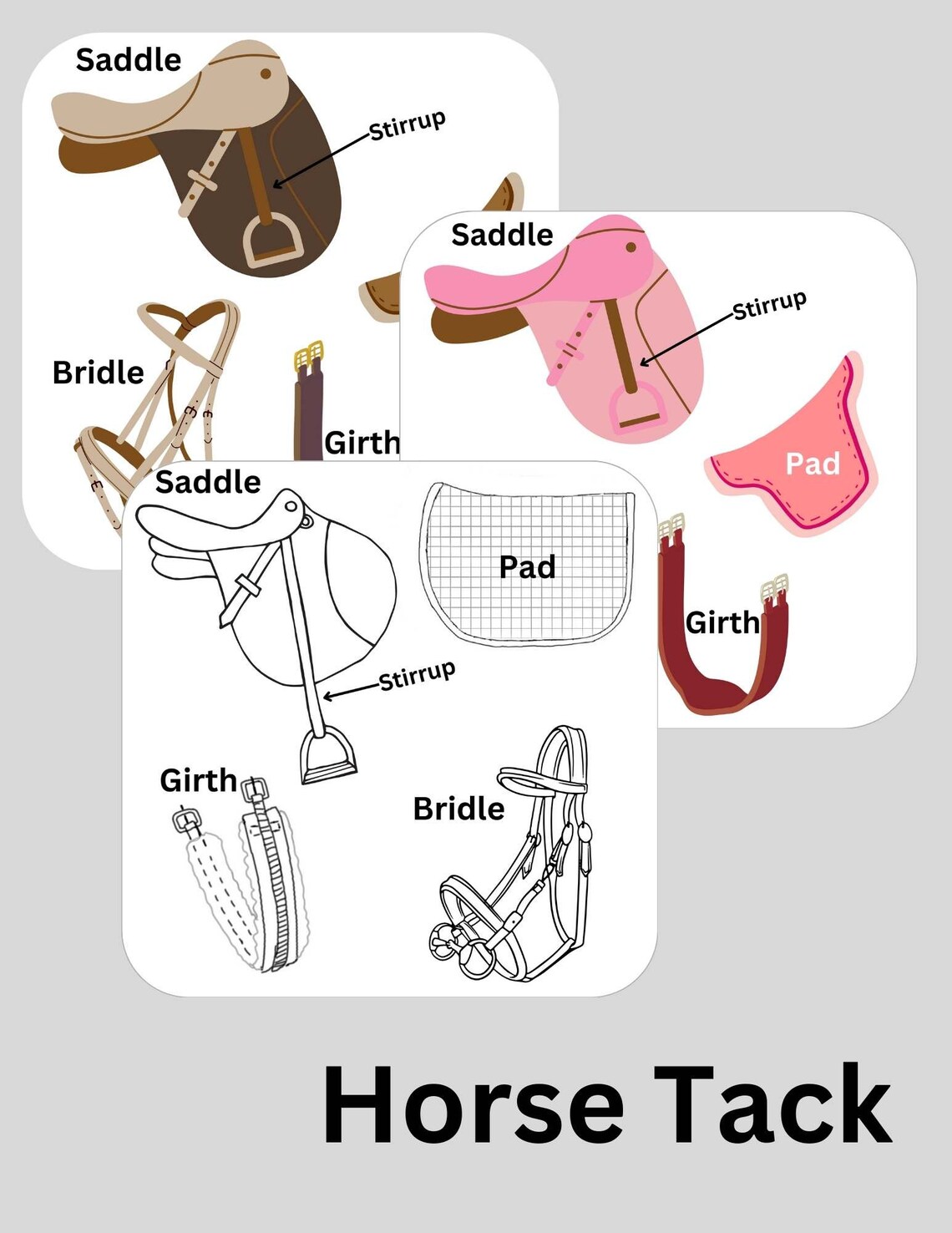 Horse Lap Book | About Horses | for Kids | Learning About Horses ...