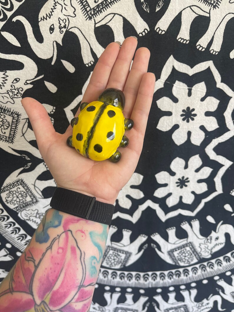 Ceramic Rainbow Ladybugs - Etsy