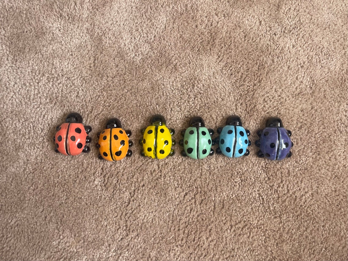 Ceramic Rainbow Ladybugs - Etsy