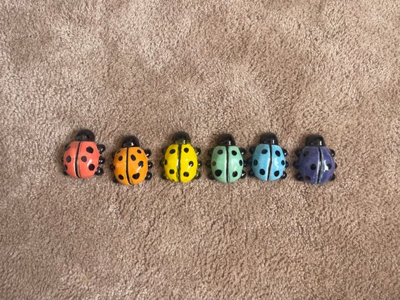 Rainbow Ladybugs 🌈 Marinette Rainbow Transformation! Ladybug's New