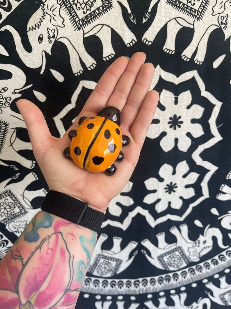 Ceramic Rainbow Ladybugs - Etsy