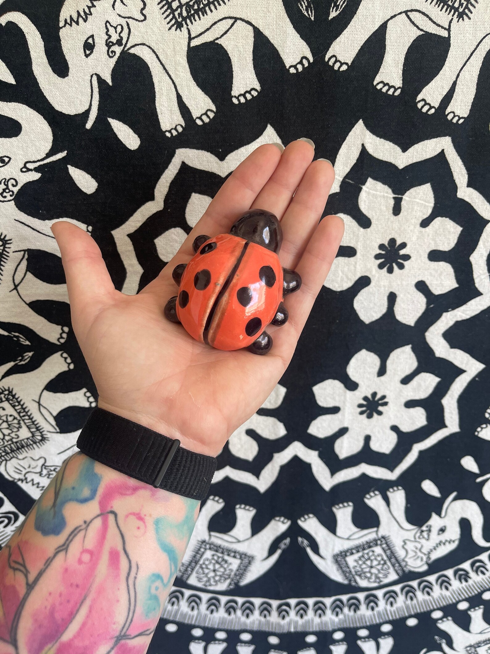 Ceramic Rainbow Ladybugs - Etsy