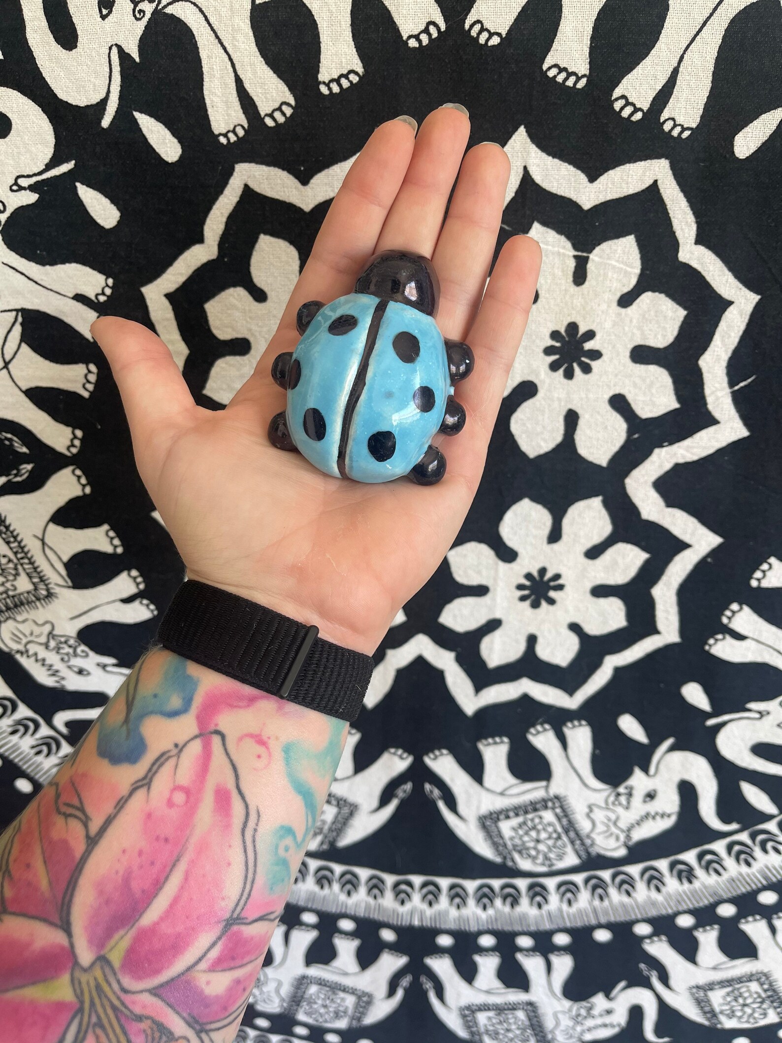 Ceramic Rainbow Ladybugs - Etsy