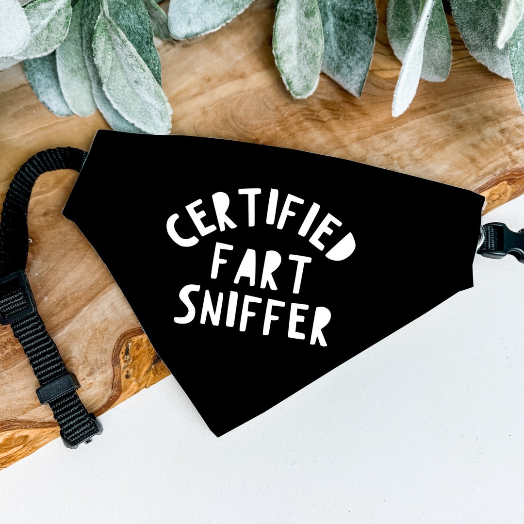 Funny Dog Bandana, Certified Fart Sniffer Bandana, Bandana for Small ...