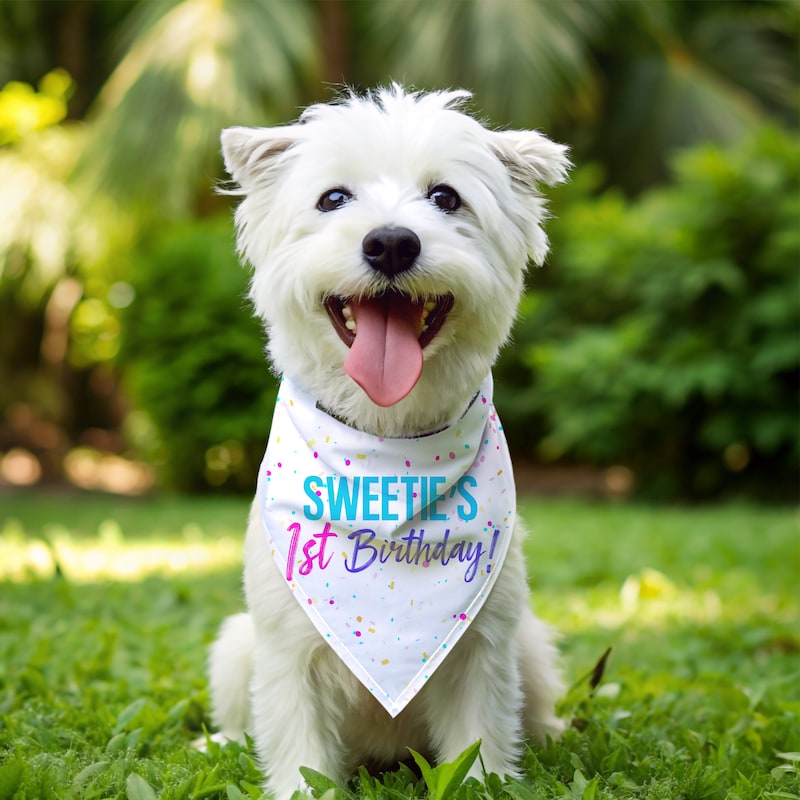 Custom Dog Bandana - Etsy