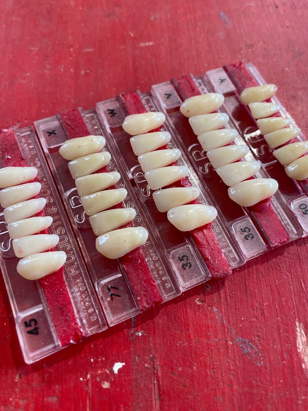 Vintage Denture Teeth Display Samples, Lot of 5 - Etsy