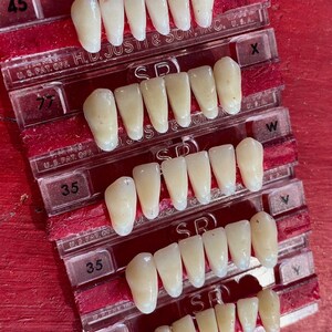 Vintage Denture Teeth Display Samples, Lot of 5 - Etsy