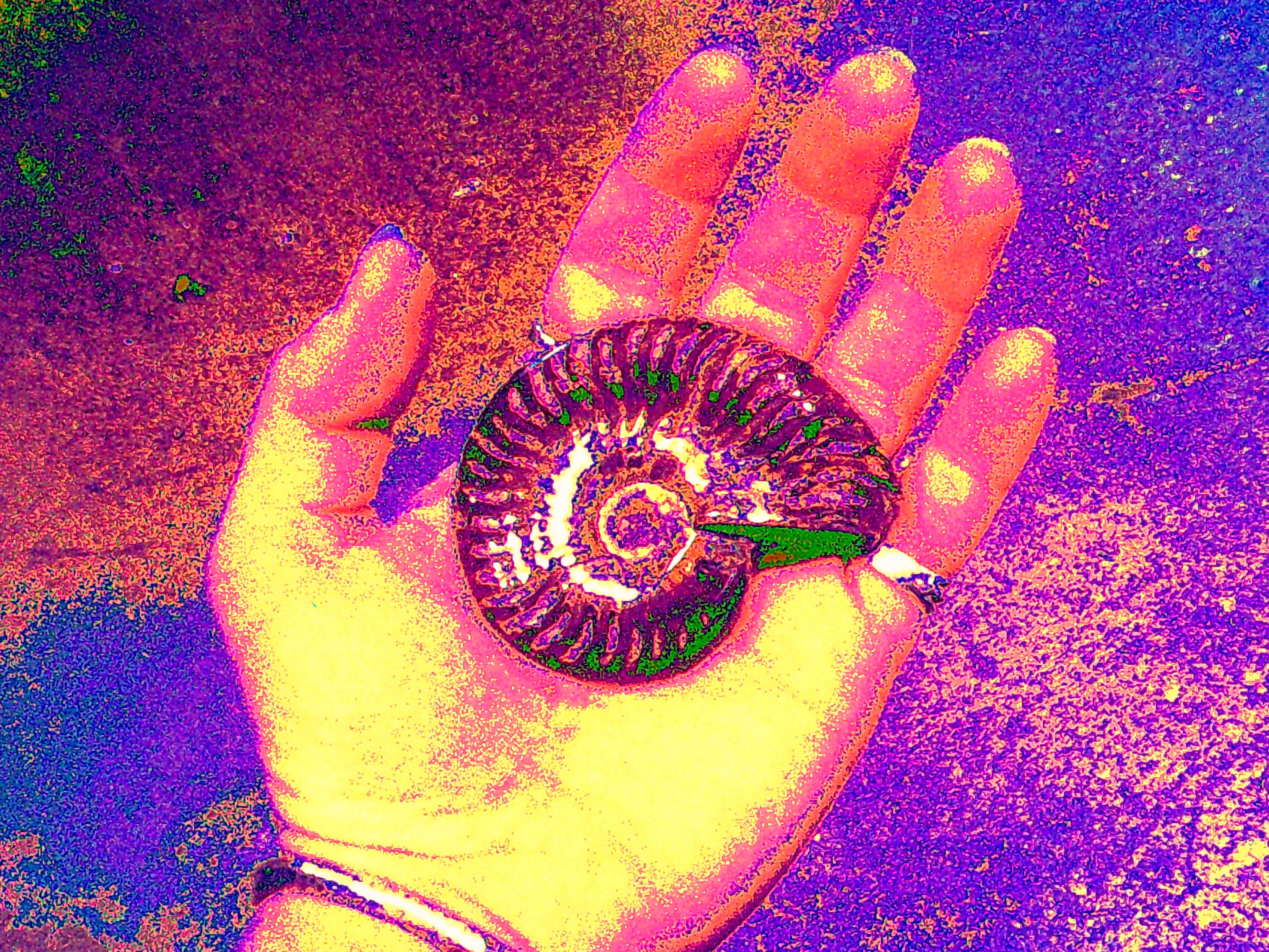 SOLD Circuit Bent Camera - Etsy