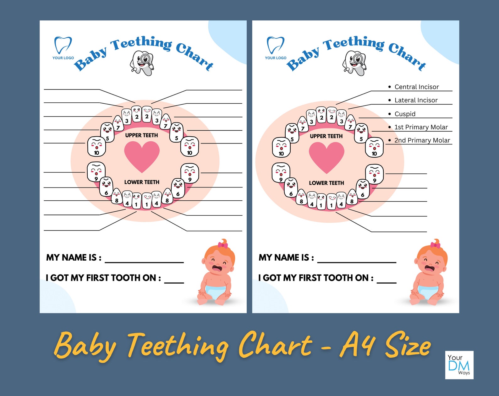 Baby Teeth Chart | 1080 X 1080 Px and A4 Size Chart | Social Media ...
