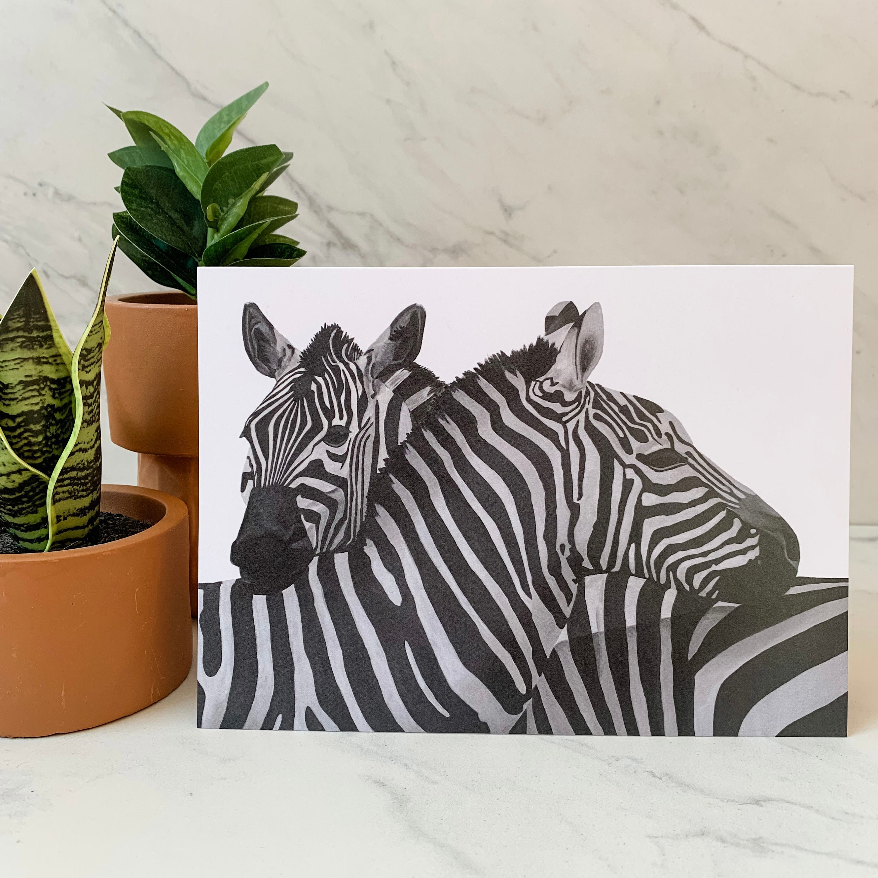 Zebra Greeting Card - Etsy