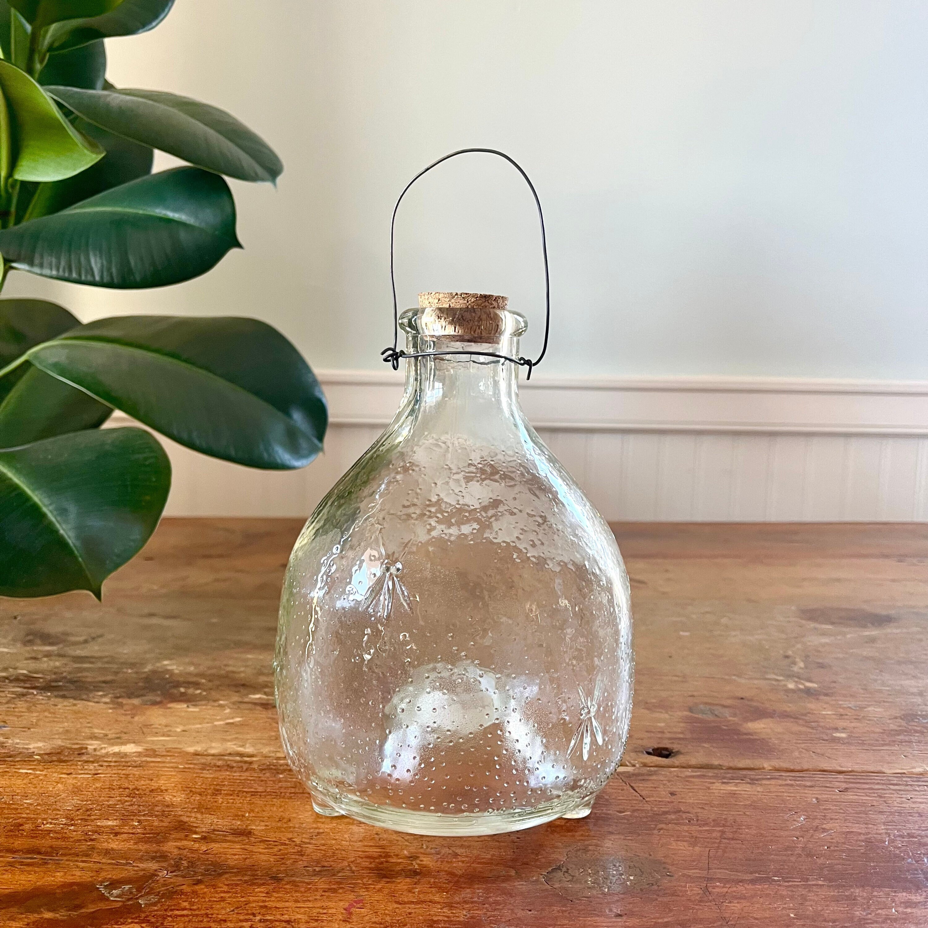Glass Wasp Trap