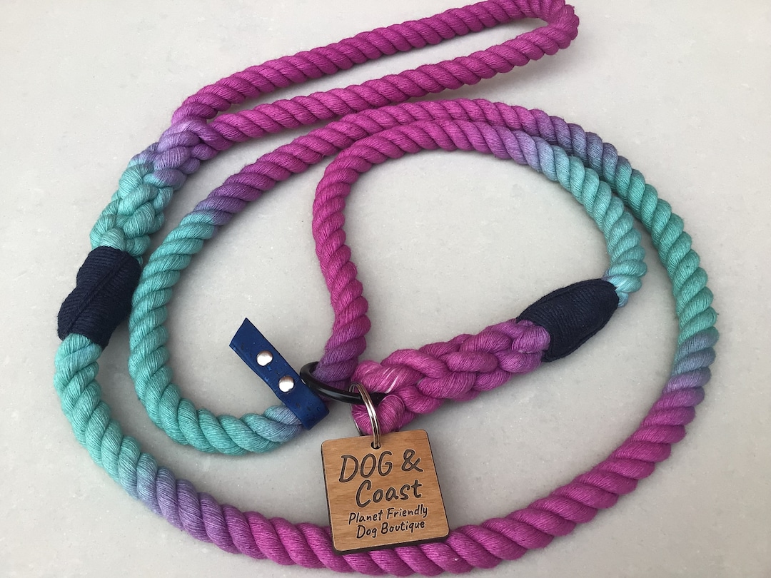 Slip Leash, Purple and Teal Cotton Rope Slip Lead, Colourful Rope Slip ...