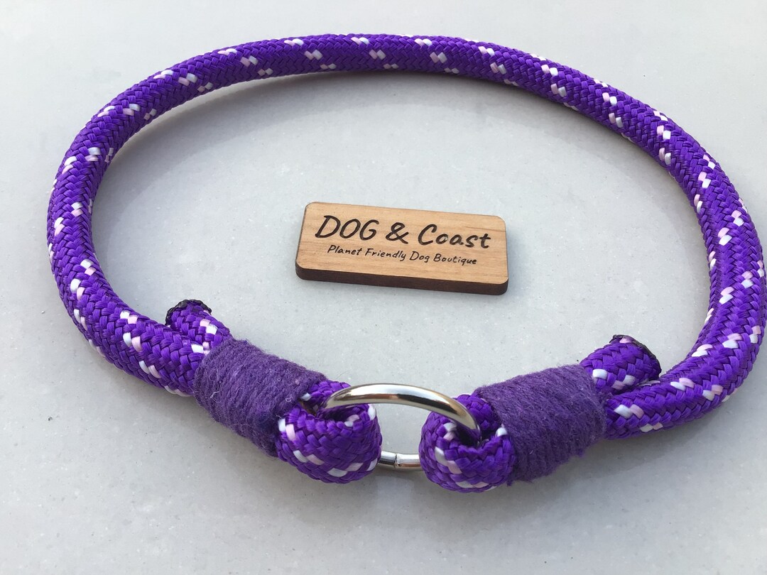 I.D Rope Dog Collar, House Collar, Whippet Collar, Handcrafted I.D ...