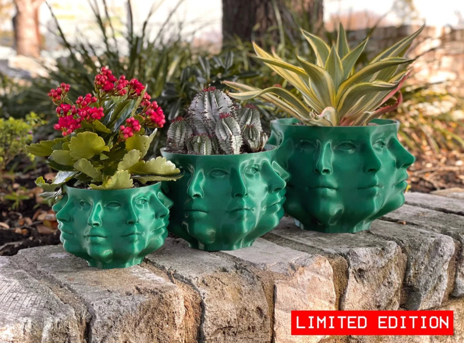 Multi Face Planter, US, Indoor Planter, Succulent Planter, Gift, Unique ...