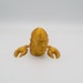 Lobster - Rock Lobster - 3d Printed - Fidget Toy | Rocktopus | the Rock ...