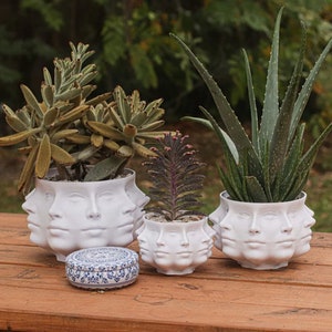 Multi Face Planter, US, Indoor Planter, Succulent Planter, Gift, Unique ...