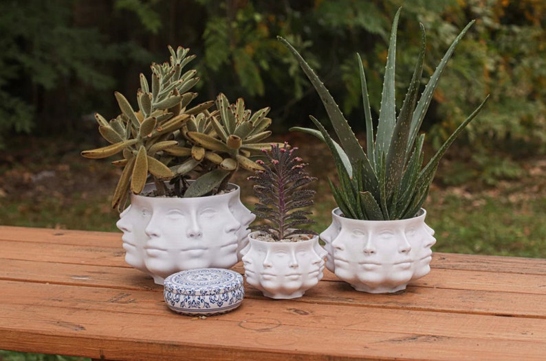 Multi Face Planter, US, Indoor Planter, Succulent Planter, Gift, Unique ...
