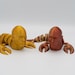 Lobster - Rock Lobster - 3d Printed - Fidget Toy | Rocktopus | the Rock ...