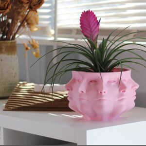 Multi Face Planter, US, Indoor Planter, Succulent Planter, Gift, Unique ...