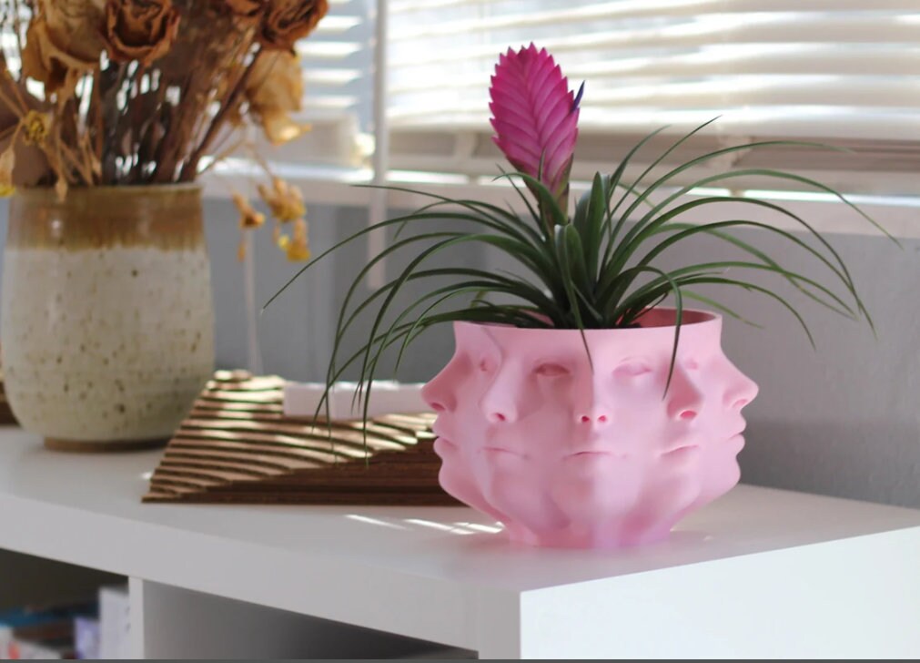 Multi Face Planter, US, Indoor Planter, Succulent Planter, Gift, Unique ...