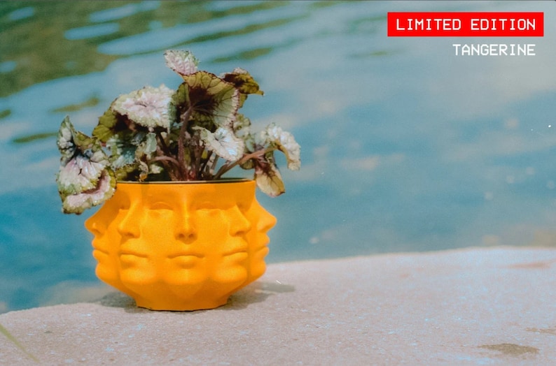 Multi Face Planter, US, Indoor Planter, Succulent Planter, Gift, Unique ...