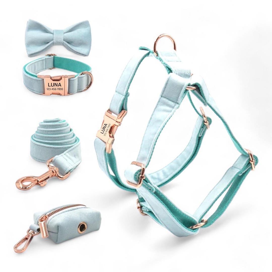 Personalized Turquoise Velvet Harness Collar Leash Bow Tie Poo Bag Set ...