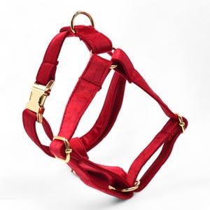 Personalized Scarlet Red Velvet Harness Collar Leash Bow Tie Poo Bag ...