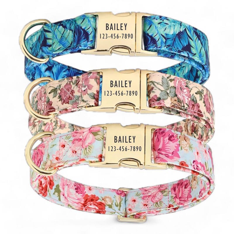 Girl Collar Leash - Etsy Norway