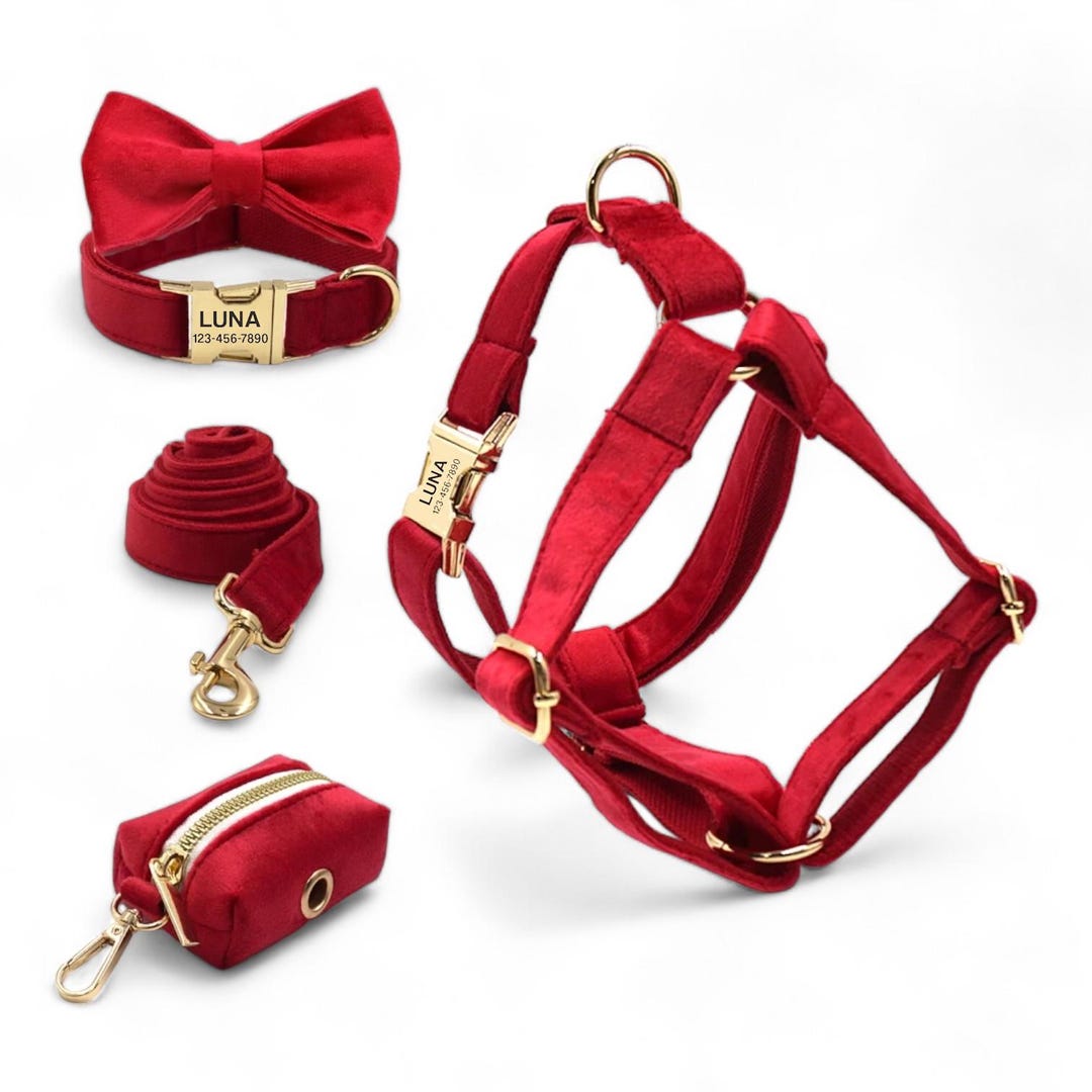 Personalized Scarlet Red Velvet Harness Collar Leash Bow Tie Poo Bag ...