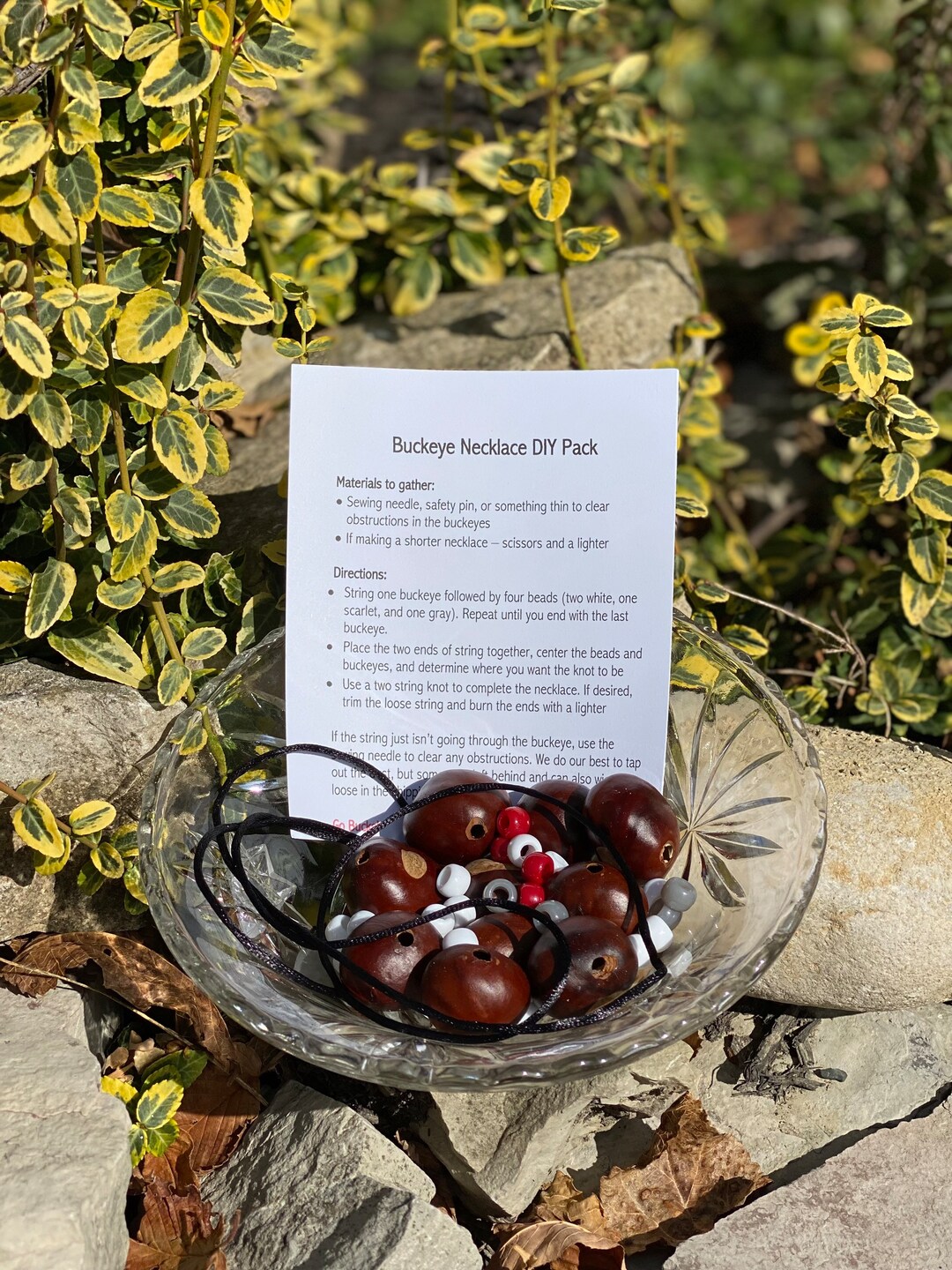 Add-on DIY Buckeye Necklace Extra Buckeyes & Beads - Etsy