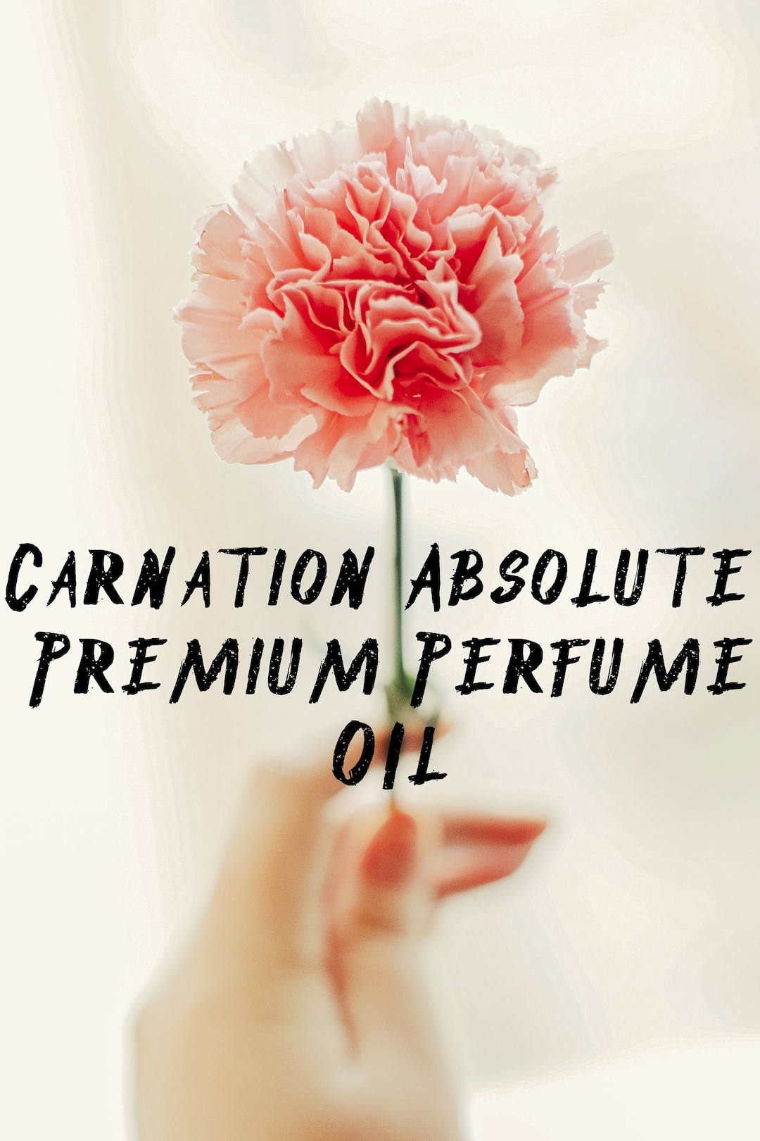 Carnation Absolute Premium Perfume Oil - Etsy
