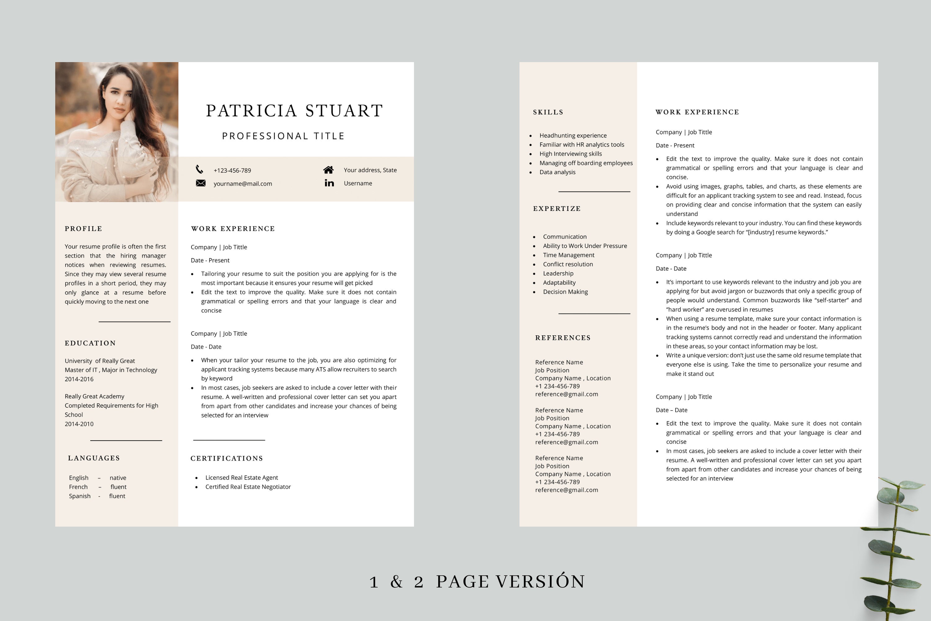 Resume Template / Professional Resume / Two Page Resume / Modern Resume ...