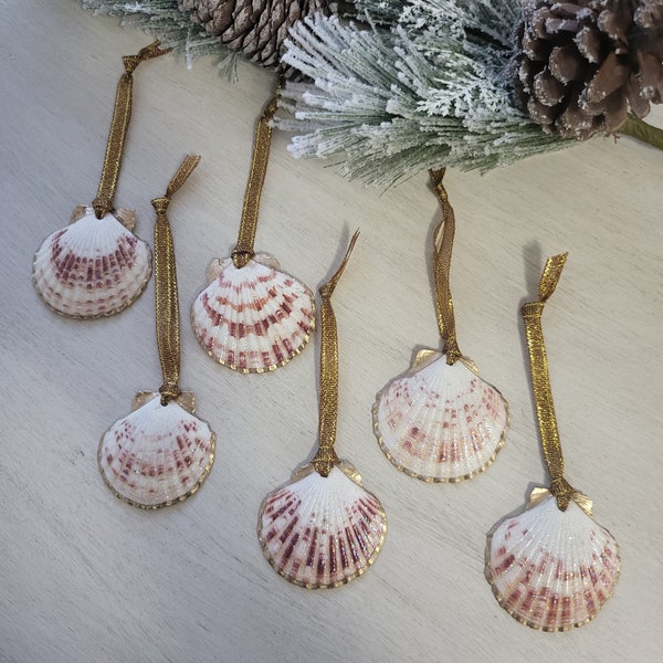 Seashell Christmas Ornaments - Etsy