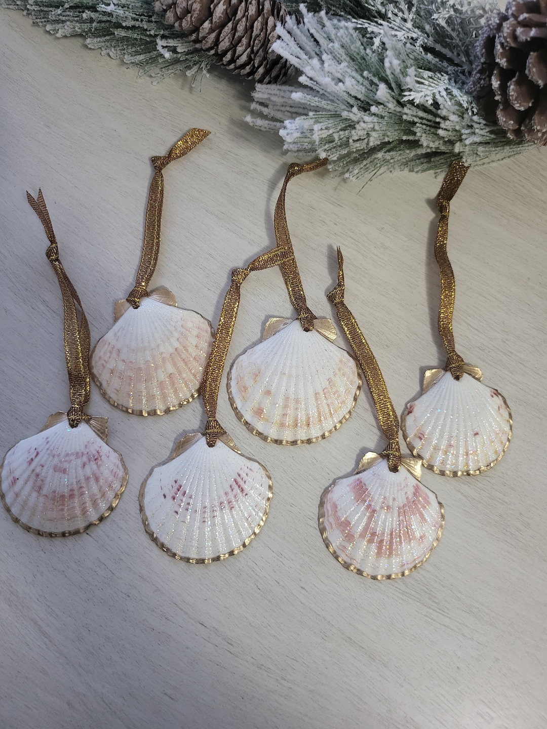 Shimmering Seashell Christmas Ornament Set SEE VIDEO - Etsy