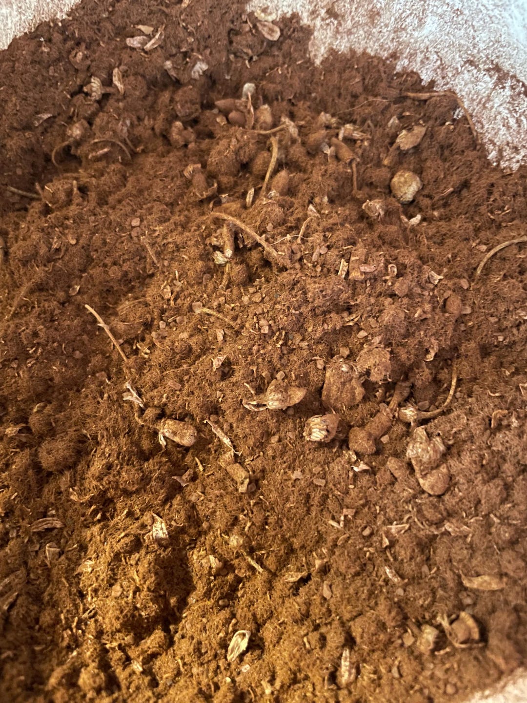 Protection Powder Blend (contains EPO OBO) - Etsy