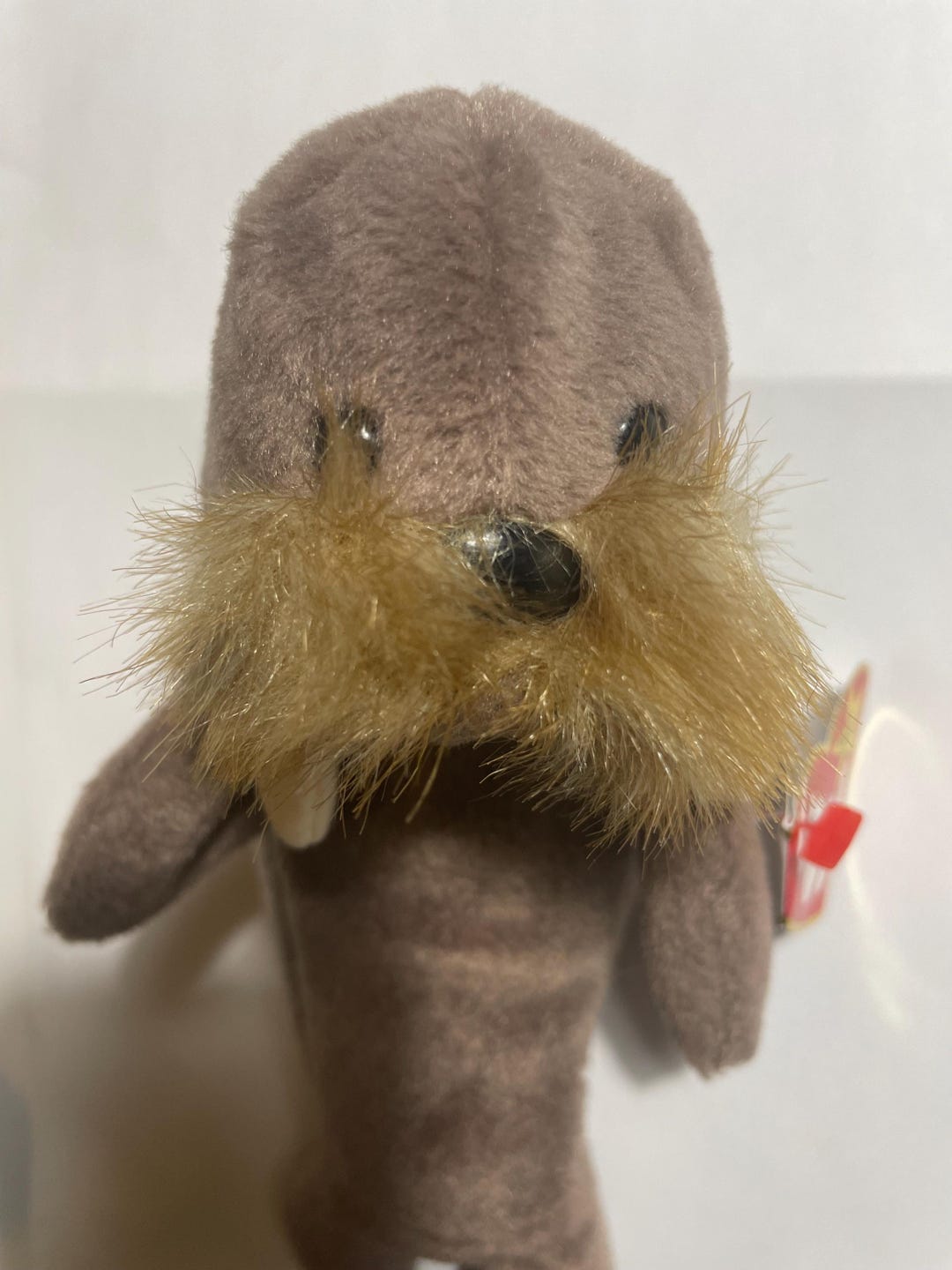 1996 Ty Beanie Original Baby Jolly the Walrus Style 4082 Rare - Etsy