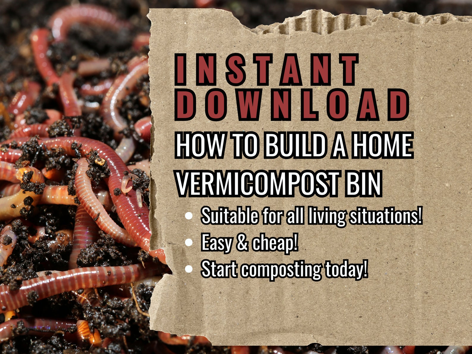 Instant Download: DIY Vermicomposting Bin Instructions (PDF) - Etsy