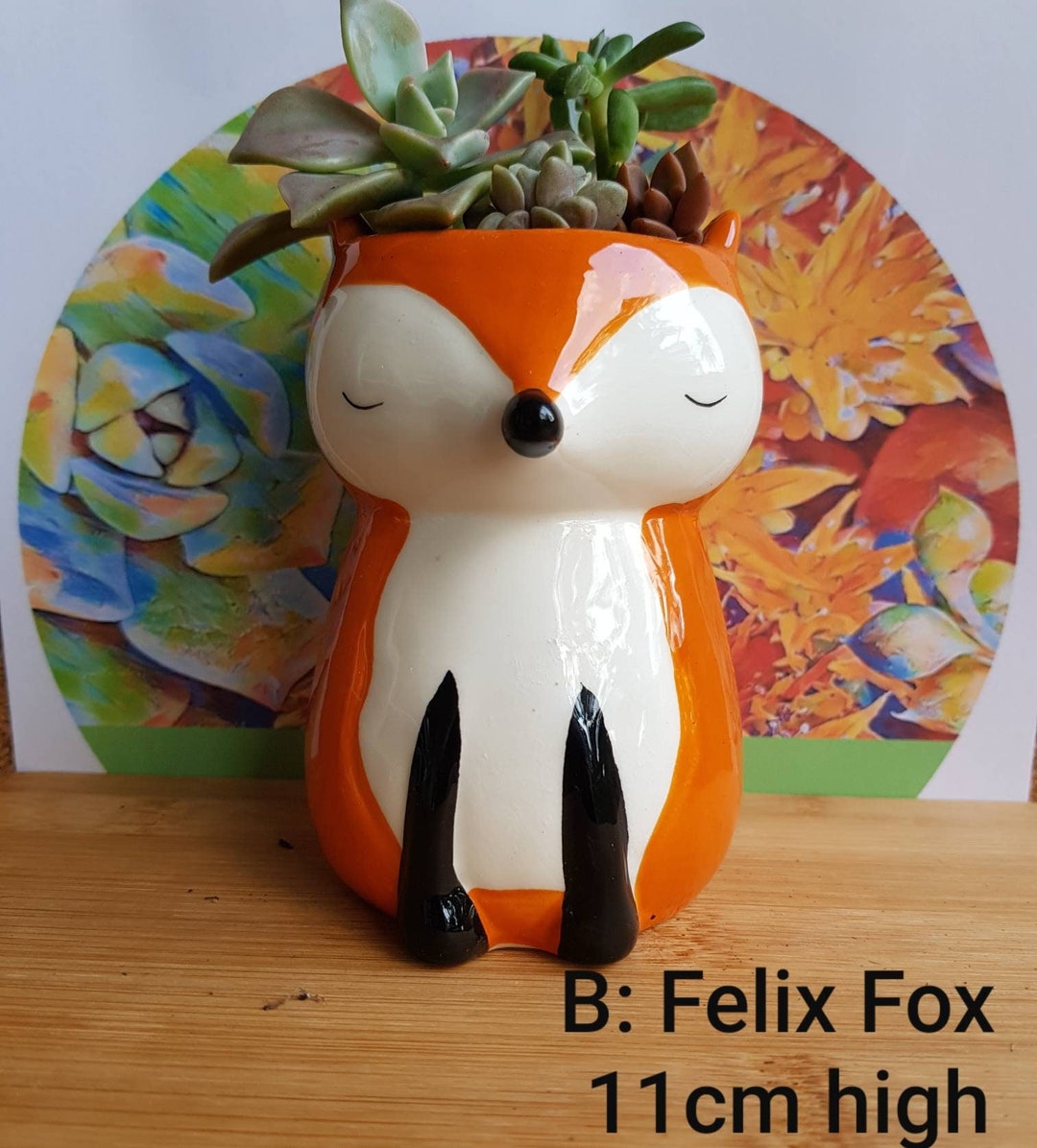 The Very Popular Felix Fox - Pot With 5 Succulent Cuttings! - Etsy